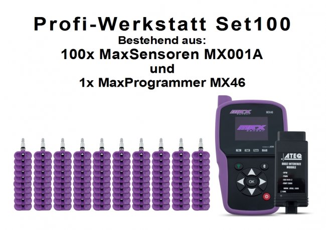 UniAuto Europe GmbH - Werkstatt-Profi Set100 bestehend aus 100 mal ...